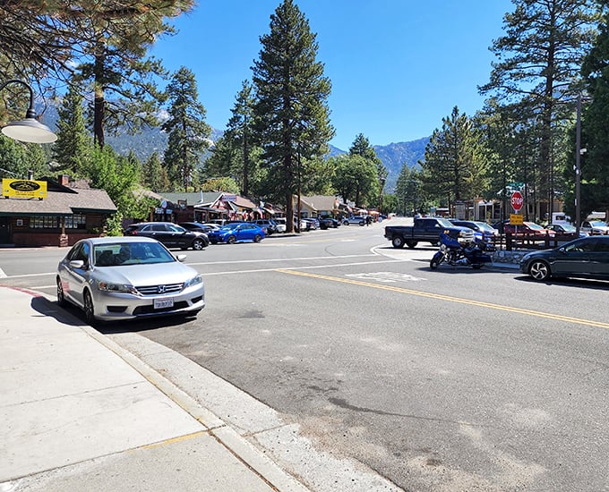 Idyllwild's main street offers mountain charm without pretension – where pine-scented air comes standard with every visit.