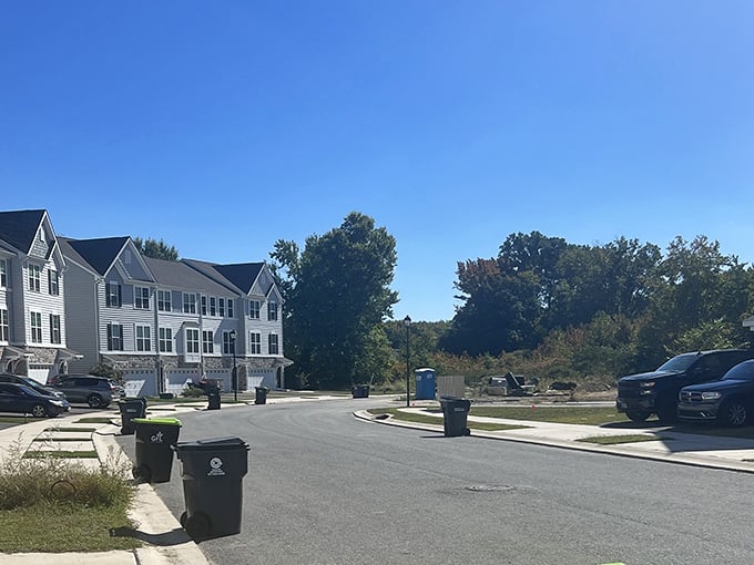 Townsend's modern townhomes prove that new construction can blend beautifully with established neighborhood character.
