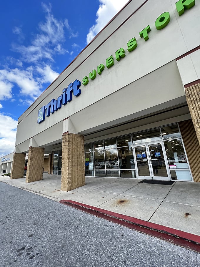 When thrift stores look this polished, you know the treasure hunting experience inside matches the exterior.