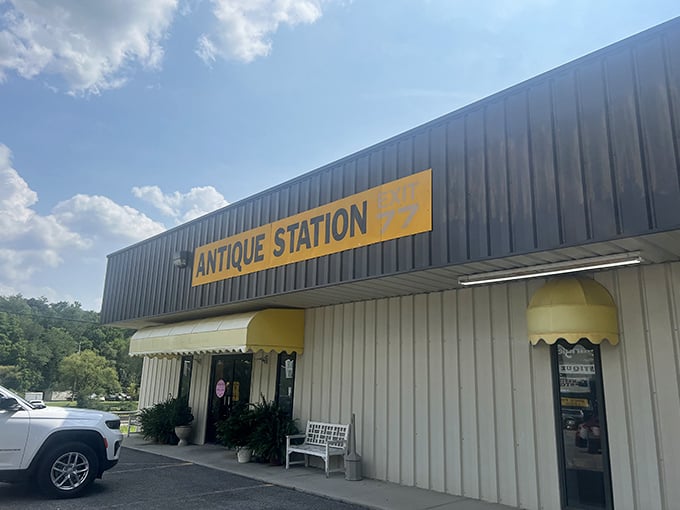 Highway convenience meets serious antique selection in this no-nonsense shop that prioritizes substance over style.