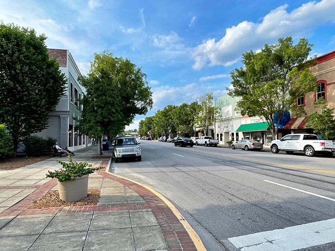 Tree-lined streets in Camden offer shade for both your afternoon strolls and your monthly budget.