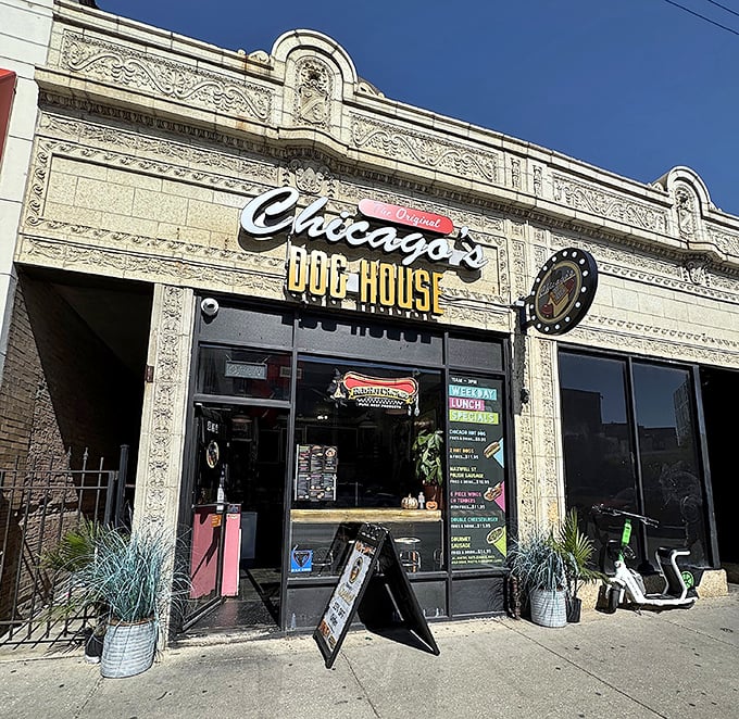 That beautiful old building houses more than just hot dogs—it's a keeper of Chicago's culinary traditions and community spirit.