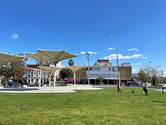 Kites dance above Fresno's urban park like retirement dreams taking flight—those futuristic sunshades offering protection for tomorrow's memories.