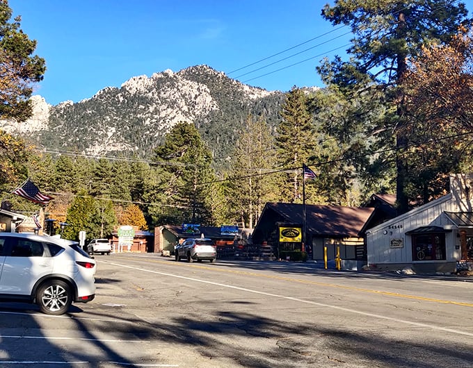 Towering pines frame Idyllwild's streets, creating nature's cathedral ceiling above this artistic mountain community.