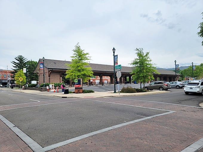 The Blue Ridge Mountains frame this vibrant downtown where culture and affordability meet perfectly.