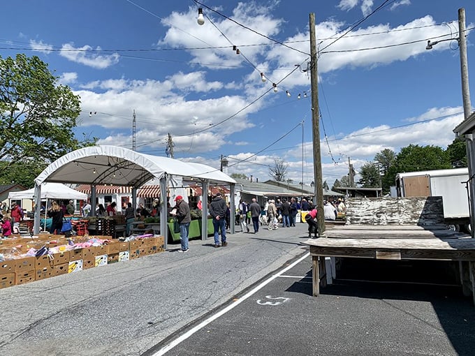 Roots Market's outdoor vendors create a temporary street scene where every table might hold that perfect something you didn't know you needed.