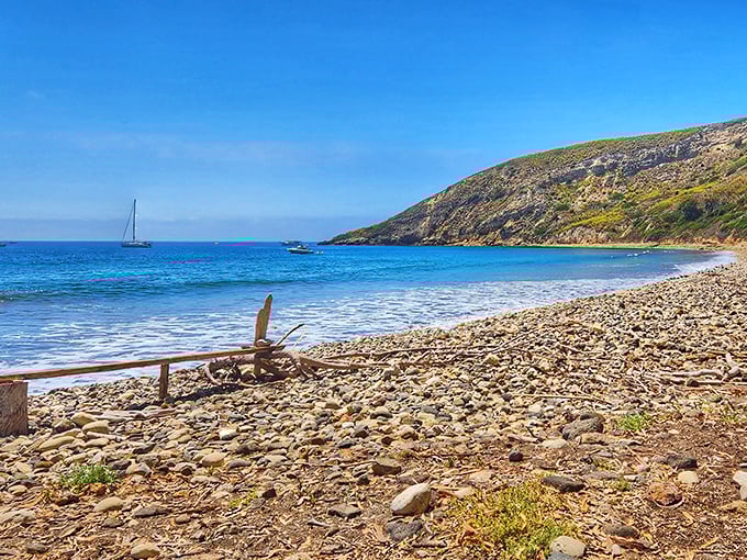 At Smugglers Cove, even the driftwood seems to be on island time—everything here slows to the rhythm of the tide.