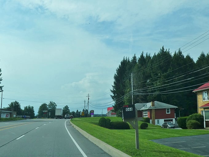 A quiet stretch of road in St. Marys captures small-town life, where homes, evergreens, and local businesses line the way.