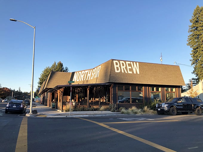 Willits welcomes visitors with tree-lined streets and the promise of genuine community connection.