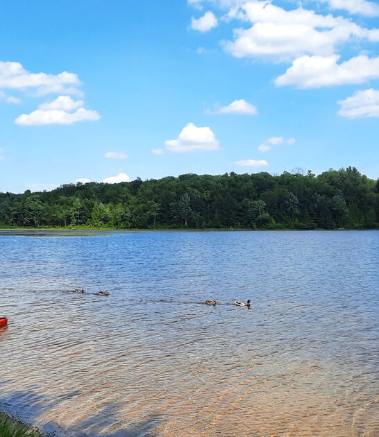 acre park pennsylvania beautiful ftr