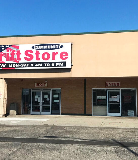 amazing finds michigan store ftr