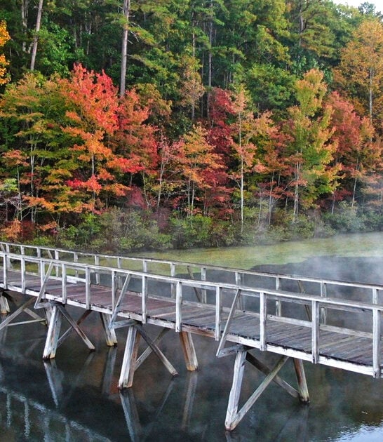 amazing park tennessee gorgeous FTR