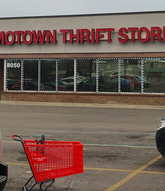 amazing thrift store michigan ftr