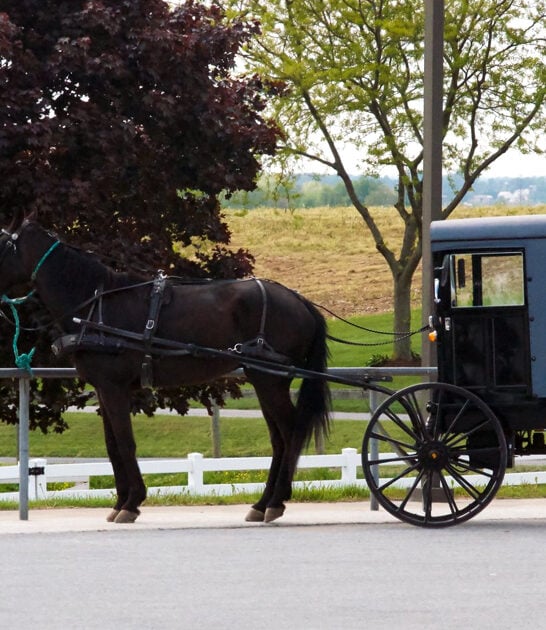 amish town pennsylvania escape ftr