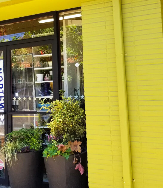 antique wonderful stores oregon ftr