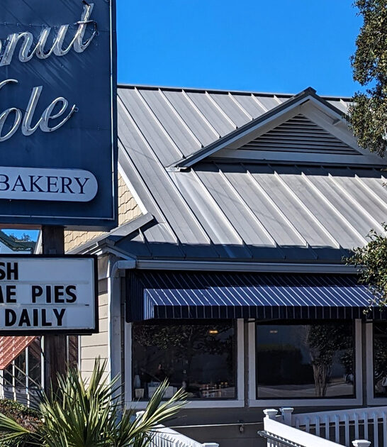 apple fritter donut florida ftr