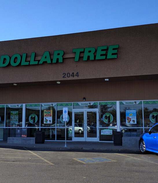 arizona dollar store treasures ftr