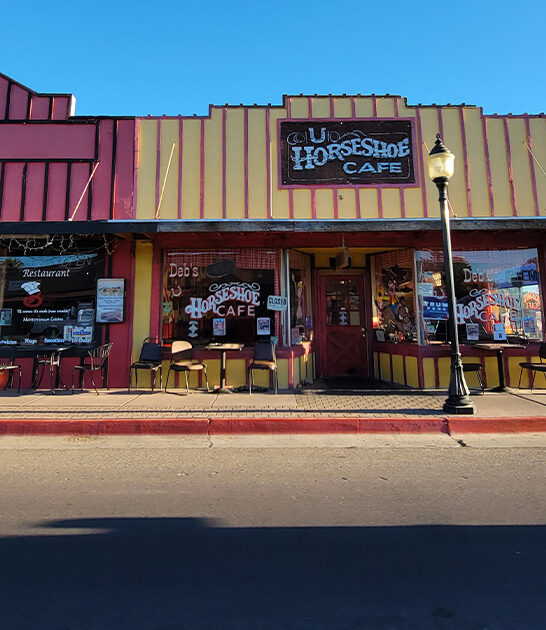 arizona no frills diner ftr