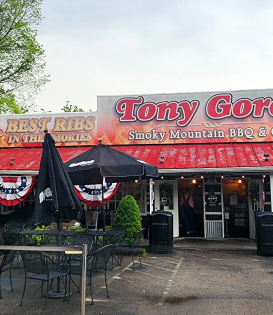 baby back ribs tennessee ftr