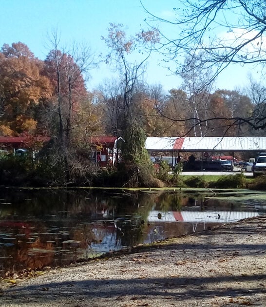 bargain hunt spots indiana ftr
