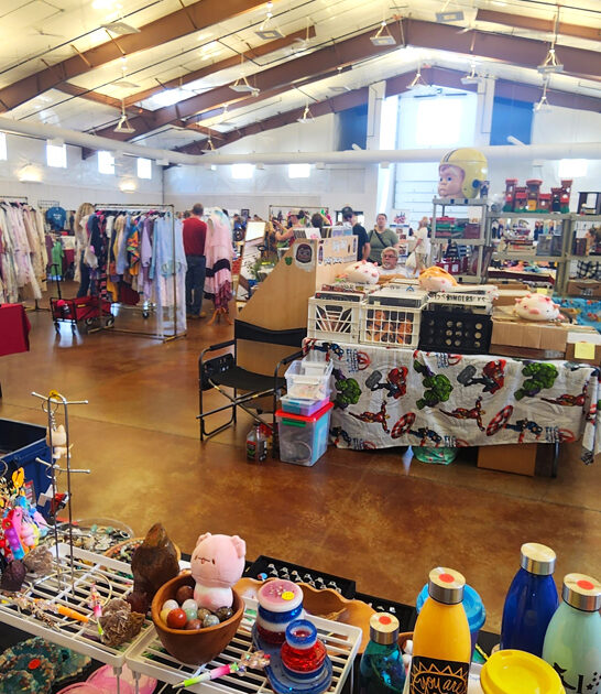 bargain hunting illinois swap ftr