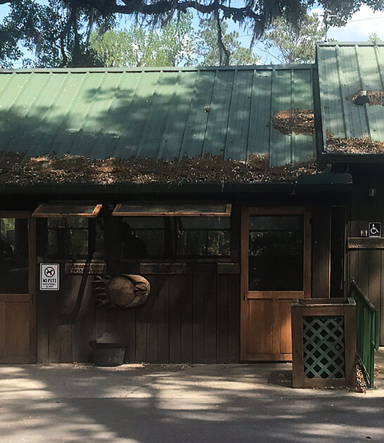 biscuit kitschy bbq florida ftr