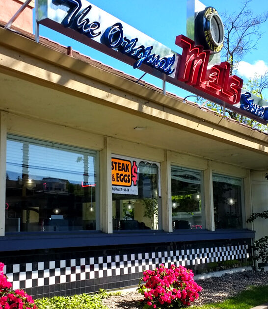 california chips fish diner ftr