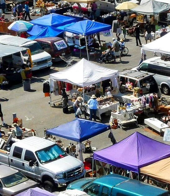 california great bargain flea ftr