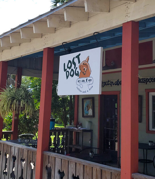 cinnamon south carolina rolls ftr