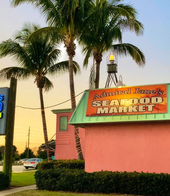 clam chowder succulent florida ftr