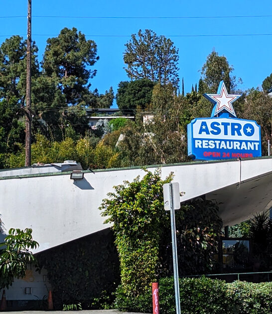 delicious classic california sandwich ftr