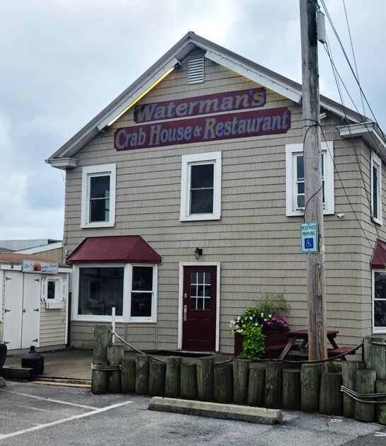 delicious maryland crab cakes ftr