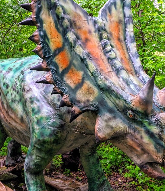 dino park tennessee wonder ftr