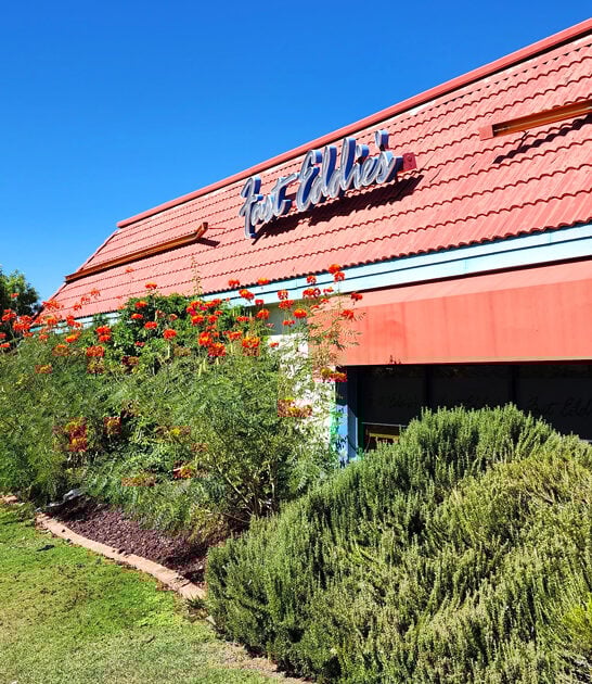 down home diners arizona ftr