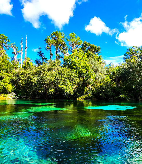 dreamy gorgeous park florida ftr