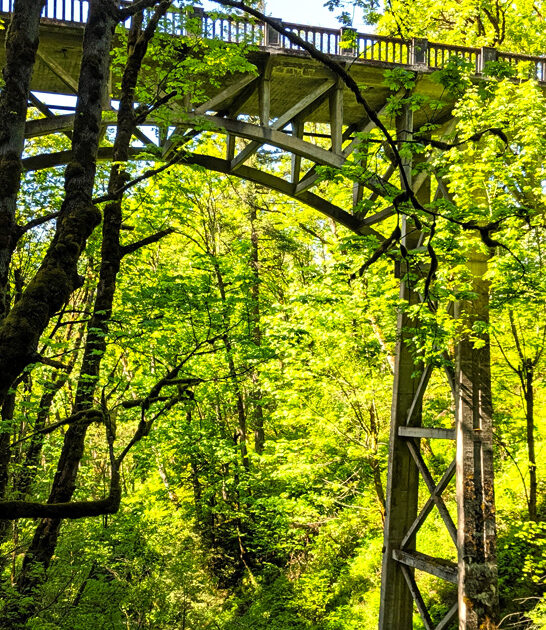 dreamy park oregon state ftr