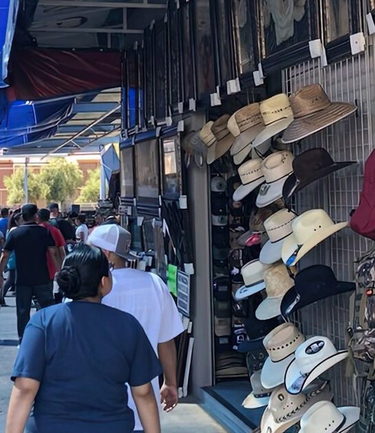 drive arizona swap meet ftr