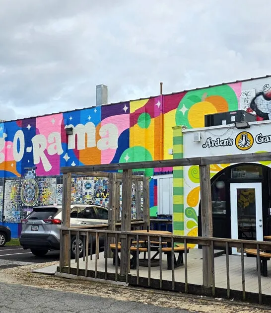 enormous cheap thrifts georgia ftr