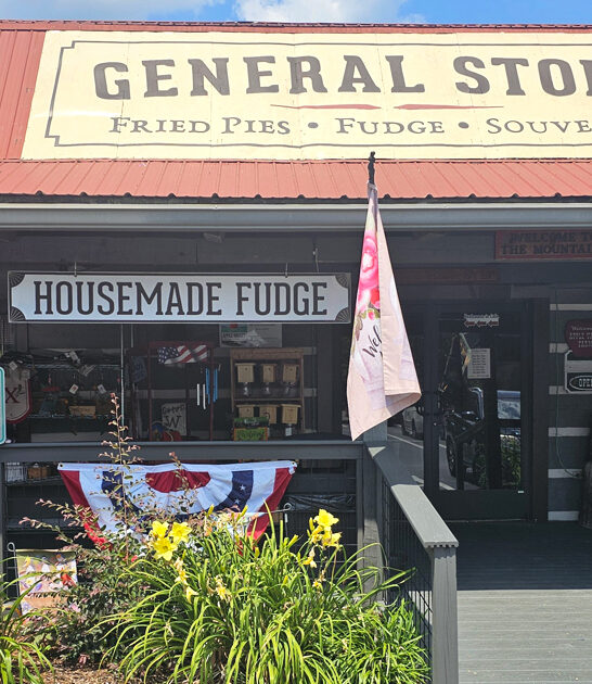 entrancing homemade pies tennessee ftr