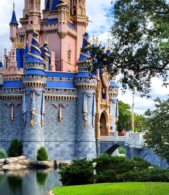 fairy tale castle florida ftr