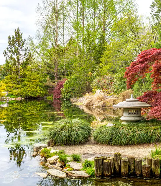 fairytale garden virginia haven ftr