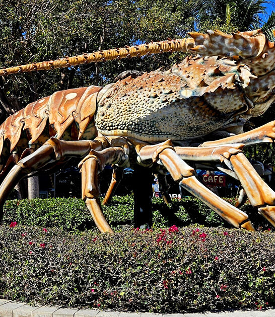 fascinating attraction florida odd ftr
