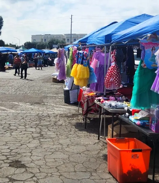 flea california bargains market ftr