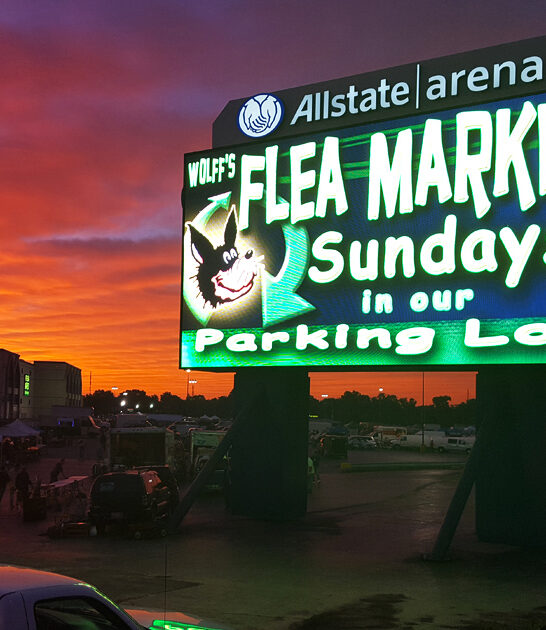 flea gigantic illinois markets ftr