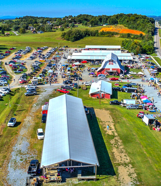 flea gigantic markets tennessee ftr
