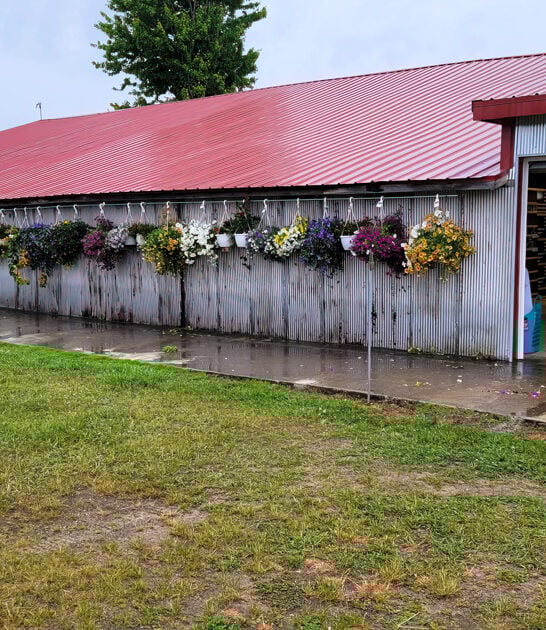 flea market affordable michigan ftr