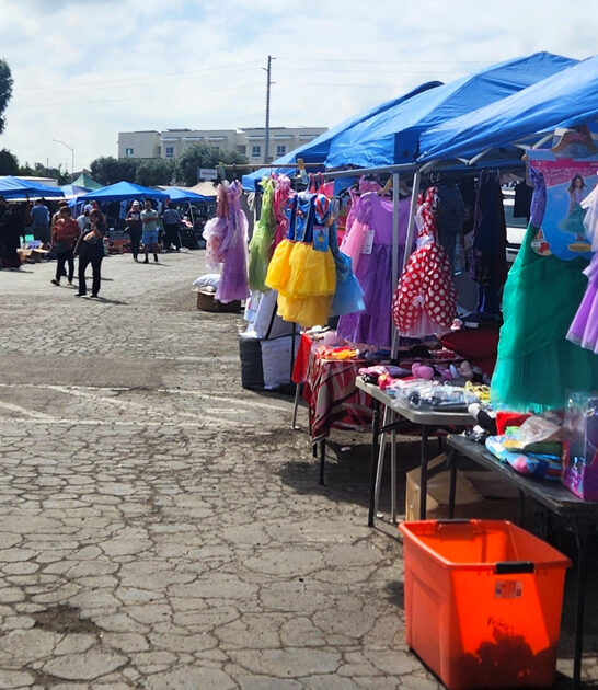 flea market california trunk ftr