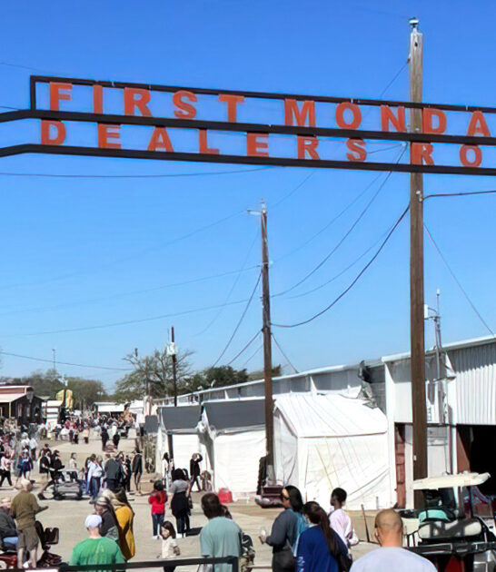 flea market texas deals ftr