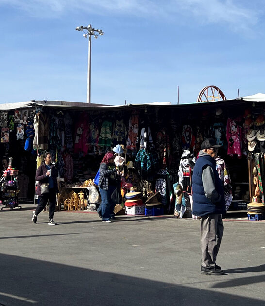 flea markets bargain nevada ftr