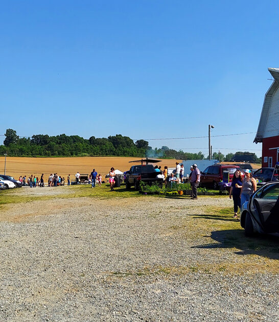 flea markets tennessee cart ftr